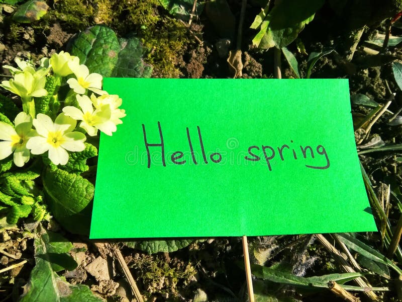 First Spring Day Inscription on Paper Hello Spring on Nature Background ...