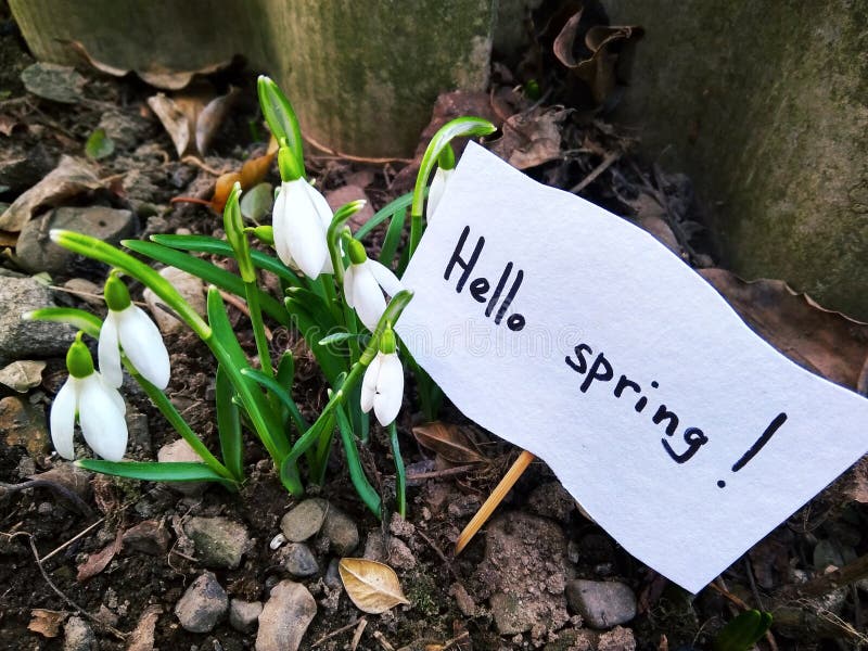 First Spring Day Inscription on Paper Hello Spring on Nature Background ...