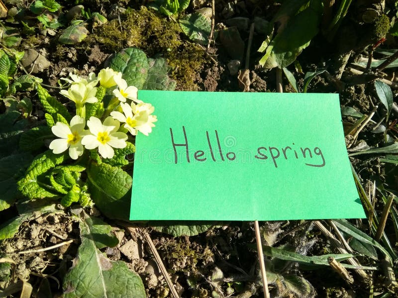 First Spring Day Inscription on Paper Hello Spring on Nature Background ...