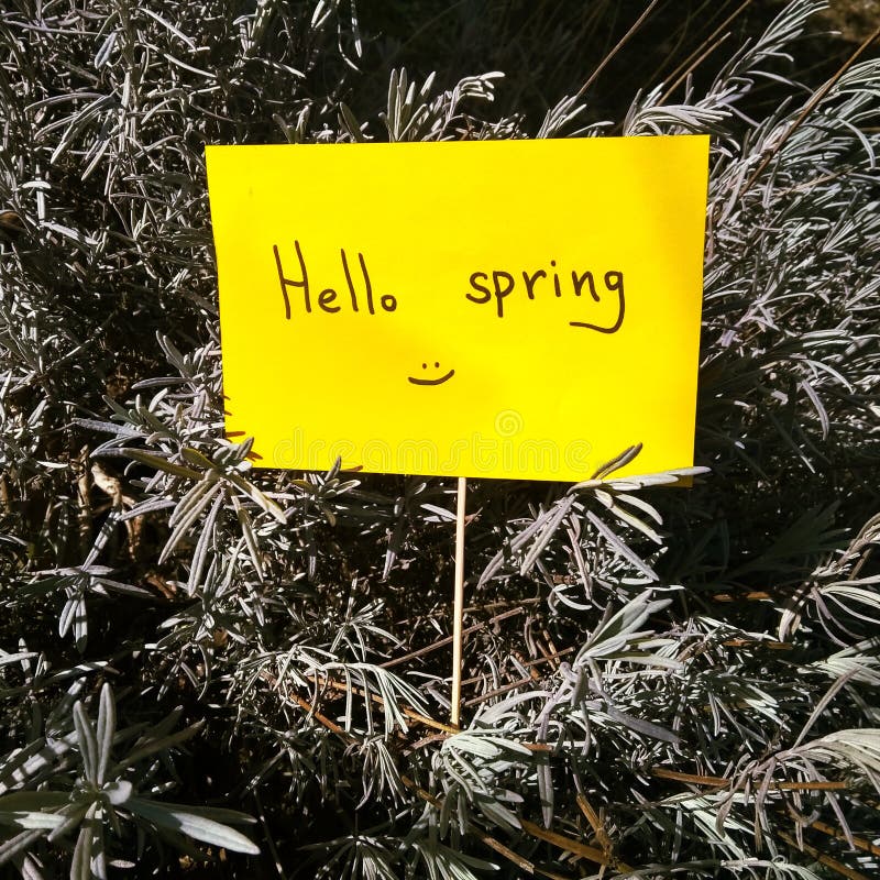 First Spring Day Inscription on Paper Hello Spring on Nature Background ...