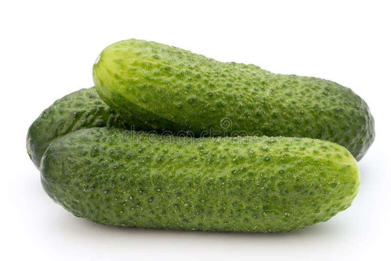 The First Spring Ecologically Cucumbers. Stock Photo - Image of juicy ...