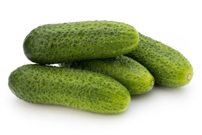 The First Spring Ecologically Cucumbers. Stock Photo - Image of eating ...