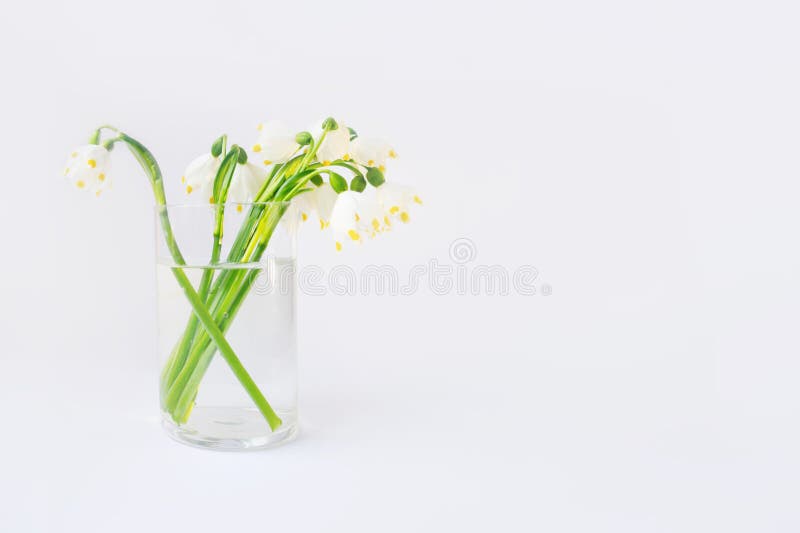 First Spring Flowers Bouquet, Spring Bells in Glass Stock Photo - Image ...
