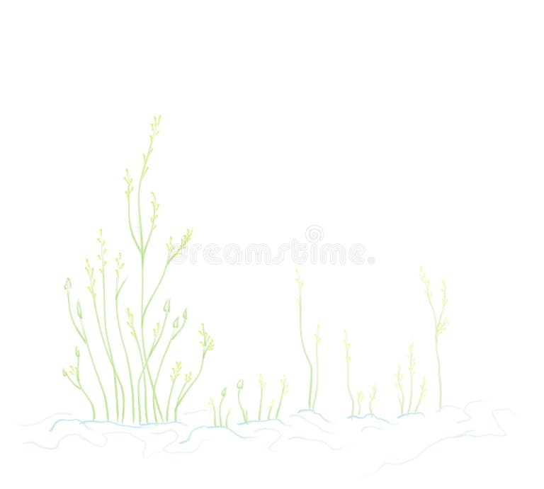 First spring sprout stock vector. Illustration of snowdrift - 72349120