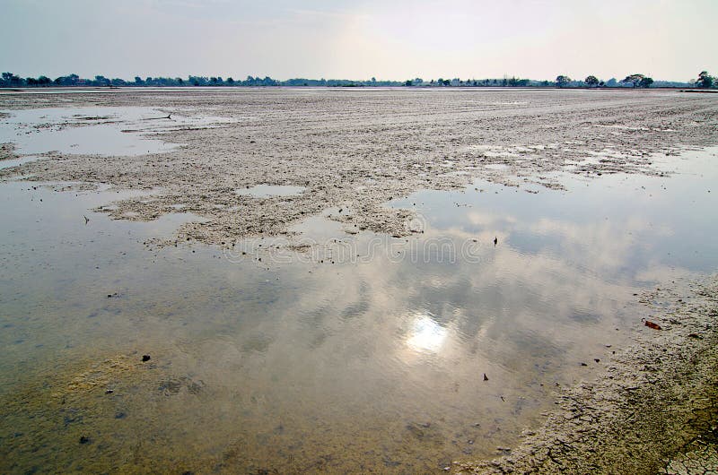 First step make rice farm stock image. Image of countryside - 22568461