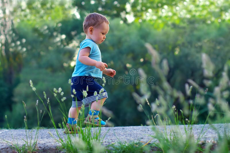 First Steps of Cute Baby Boy among Greens Stock Photo - Image of path ...