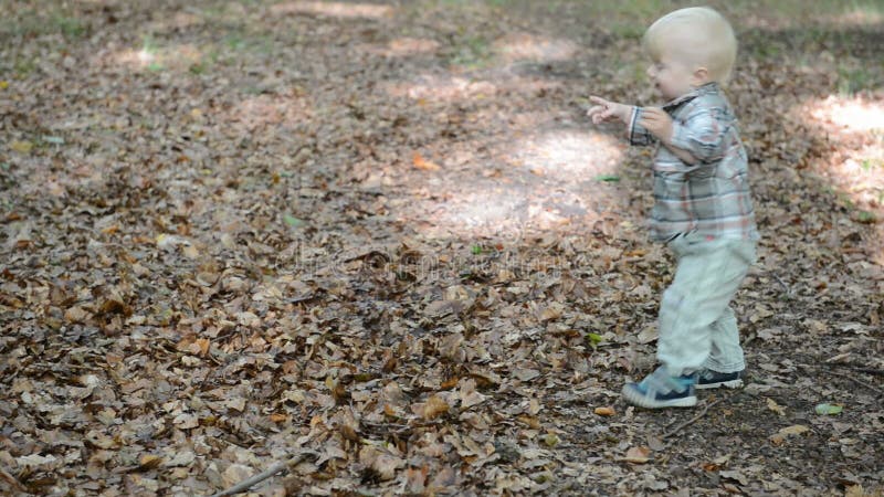 First steps of little boy stock video. Video of family - 351931533