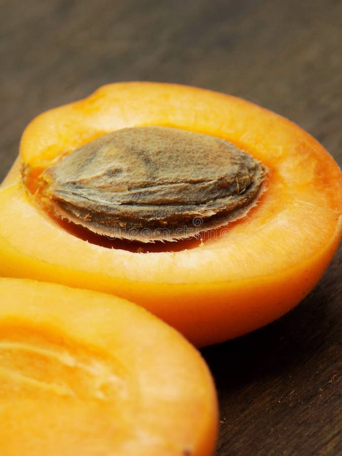 The first sweet apricot stock image. Image of nature - 96252729