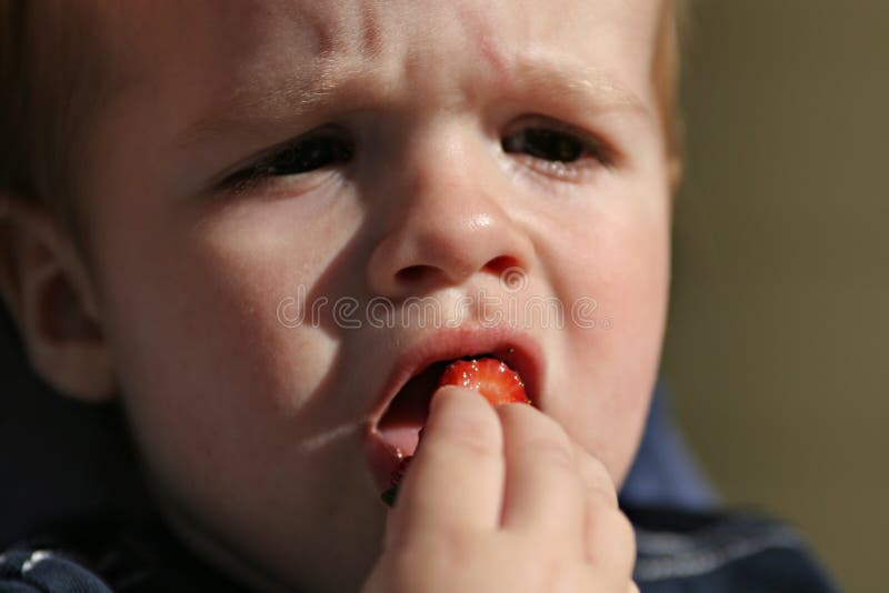 First taste stock image. Image of tasting, baby, strawberry - 942195