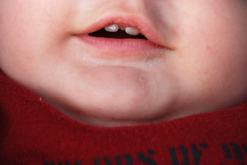 First teeth stock image. Image of pink, tooth, mouth - 34088435