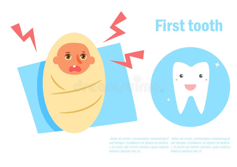 First Tooth Vector. Cartoon Stock Vector - Illustration of healthy ...