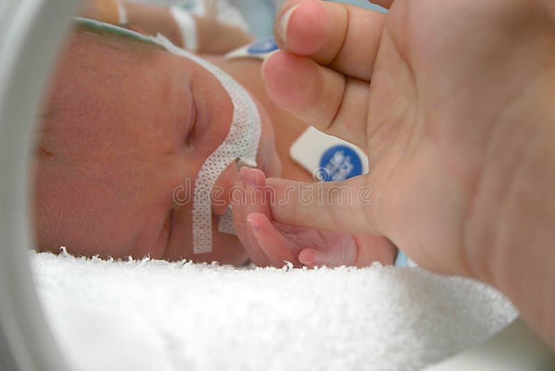First touch stock image. Image of poignant, nurture, hope - 228209