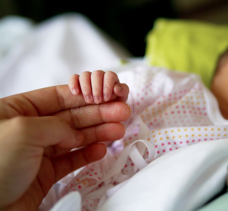 First touch of a baby stock photo. Image of young, comfort - 219459908