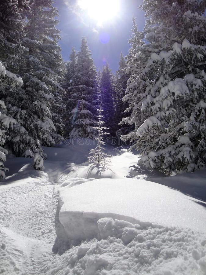 First tracks stock photo. Image of travel, hike, bluebird - 46661196