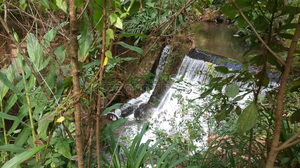 The first waterfall stock photo. Image of river, waterfall - 96899988