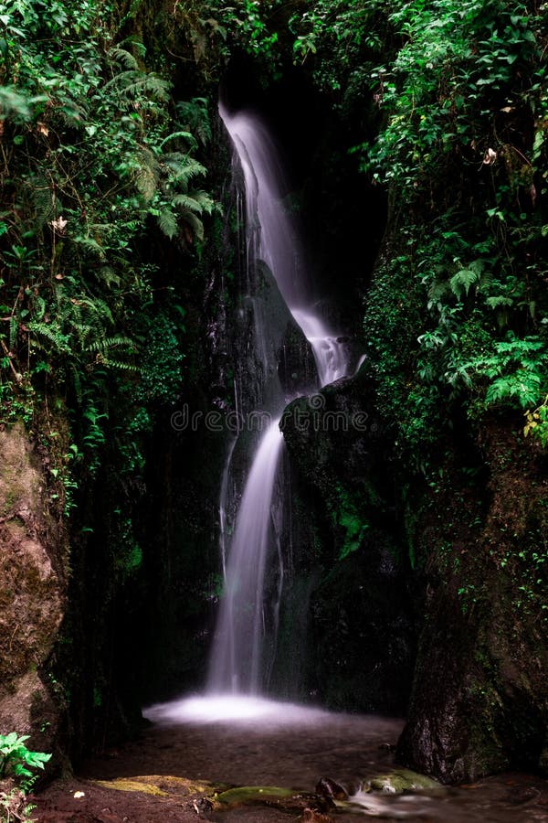 First waterfall nono stock image. Image of leaf, watercourse - 194288065