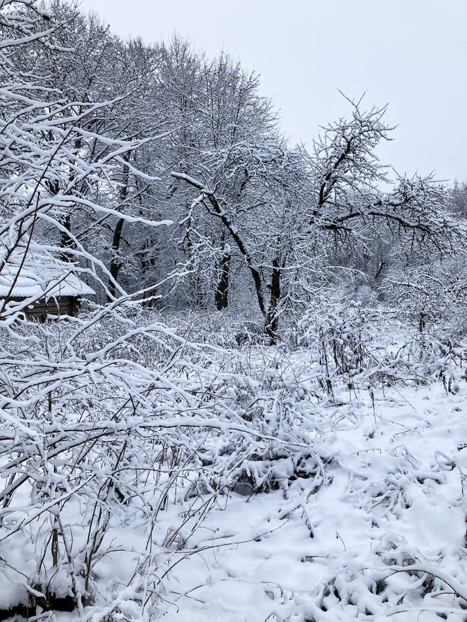 The First White Fluffy Snow this Year Stock Image - Image of fence ...