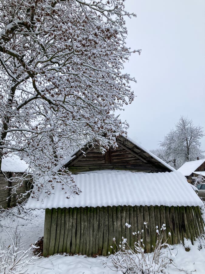 The First White Fluffy Snow this Year Stock Image - Image of cold ...