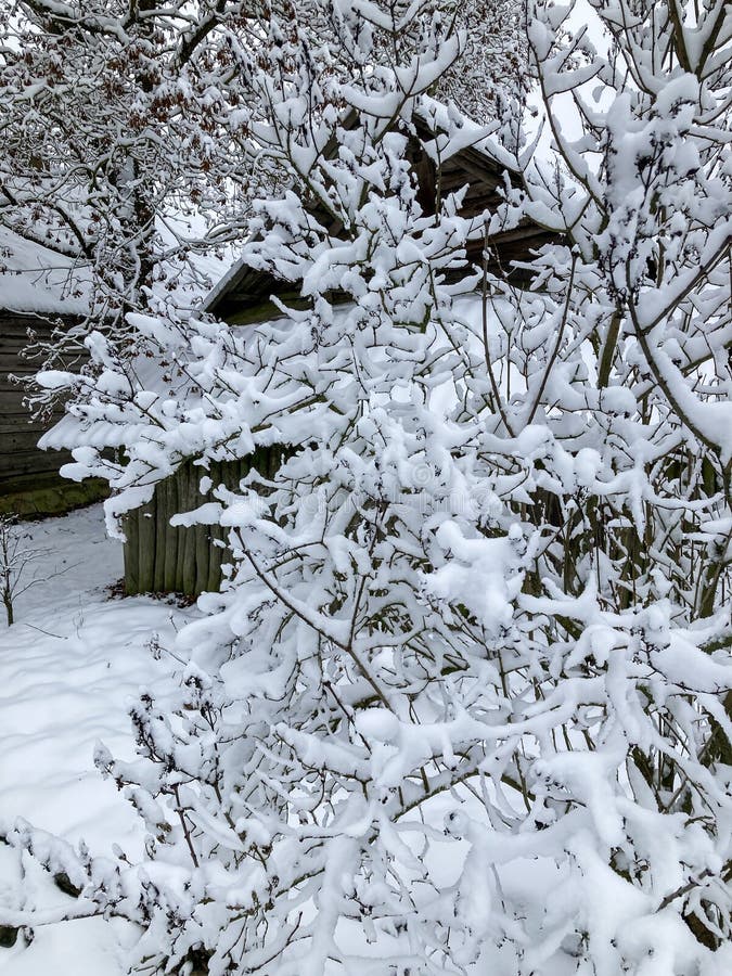 The First White Fluffy Snow this Year Stock Image - Image of season ...