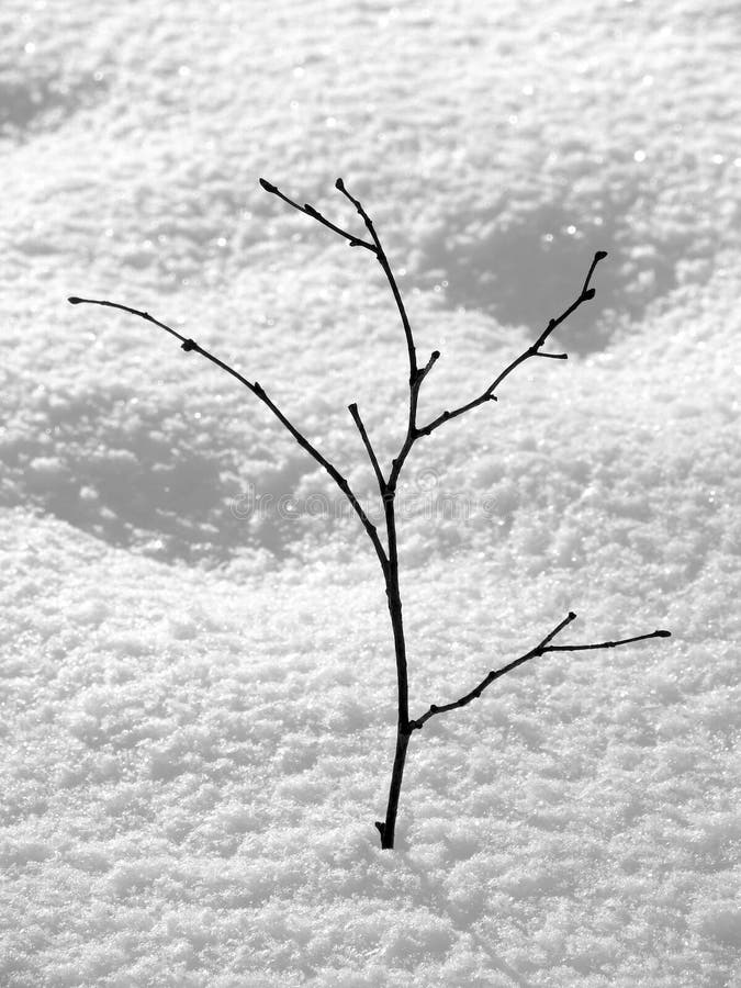 First winter stock image. Image of scene, cold, white - 12557837