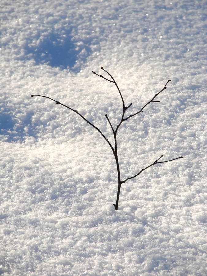 First winter stock photo. Image of seasonal, texture - 12726998