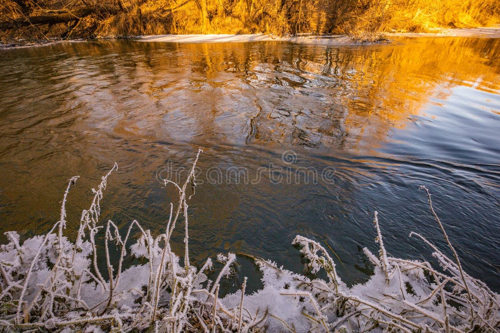 The First Winter Days on the River Stock Image - Image of tree, cold ...