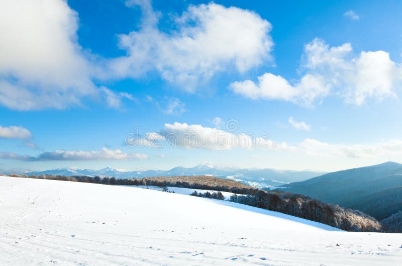 First Winter Snow and Mountain Beech Forest Stock Photo - Image of ...