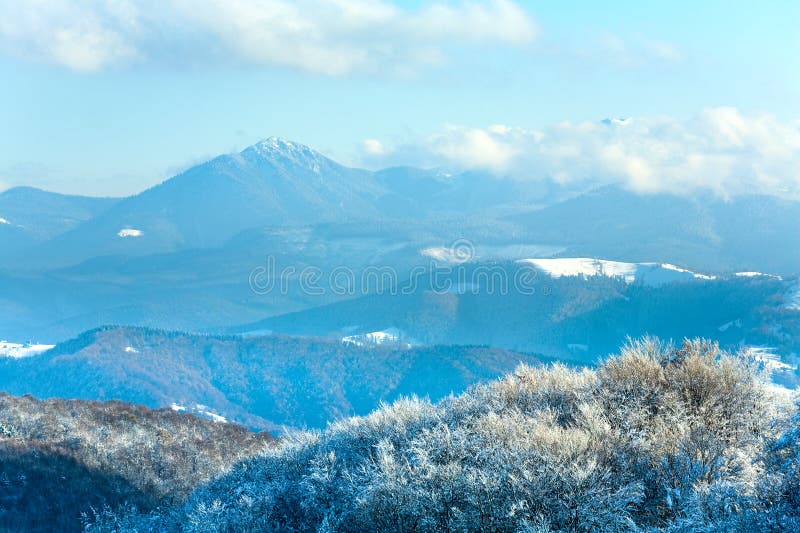 First Winter Snow and Mountain Beech Forest Stock Photo - Image of snow ...