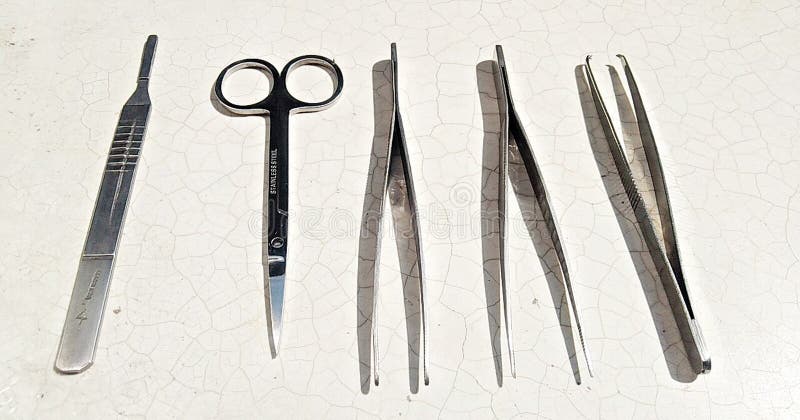 First Year Basic Medical Instrument Stock Photo - Image of medical ...