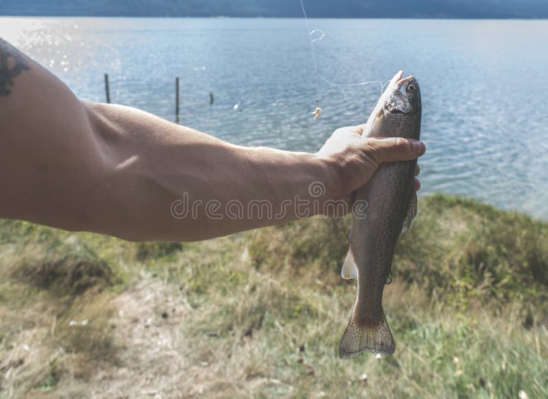 Fischer Fing Einen Fisch Ab Stockbild - Bild von kaukasisch, ferien ...