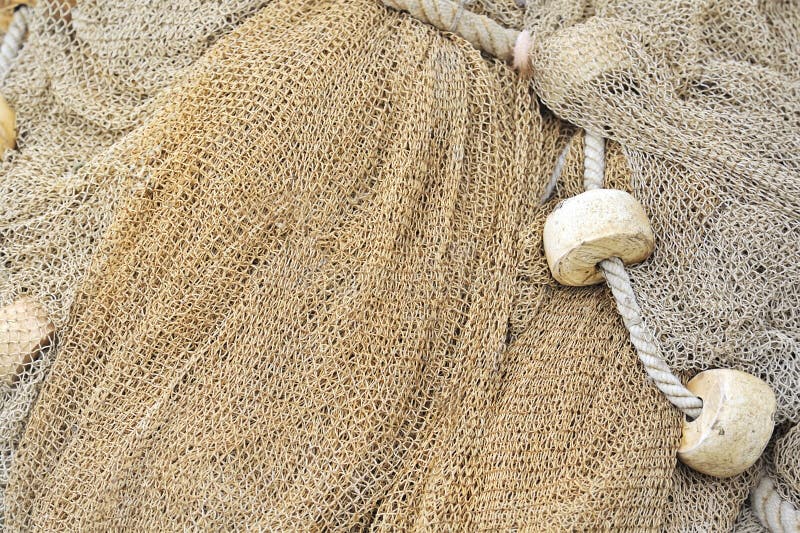 Fische in Einem Fischernetz Stockbild - Bild von herbst, sicherung ...