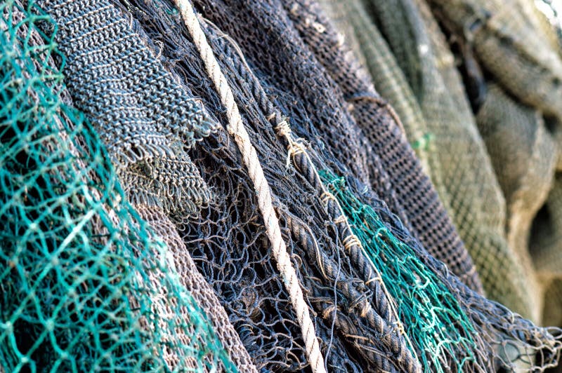Fischnetz stockfoto. Bild von tier, meer, fische, meeresfrüchte - 37060632