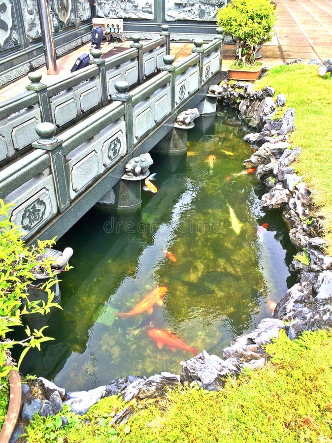 Fischteich im Tempelgarten stockbild. Bild von bügel - 54475065