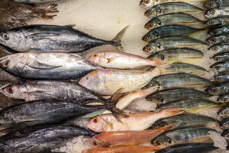 Fisf en el hielo stock de ilustración. Ilustración de producto - 35952959