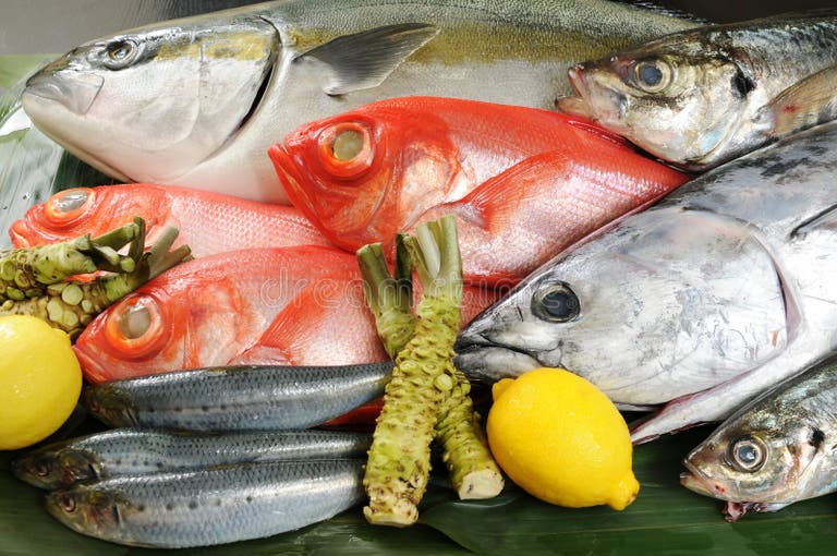 2,565,669 Cariboloo Fish Stock Photos - Free & Royalty-Free Stock ...