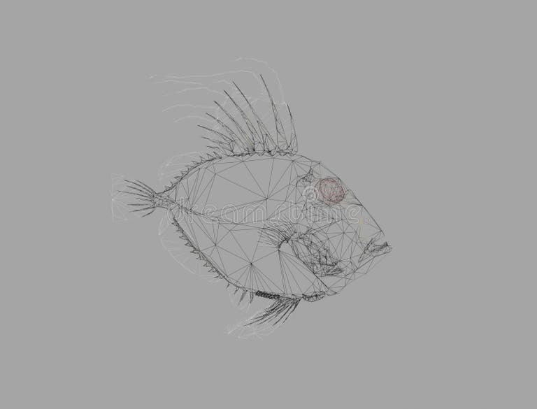 Wireframe Fish Stock Illustrations – 987 Wireframe Fish Stock ...