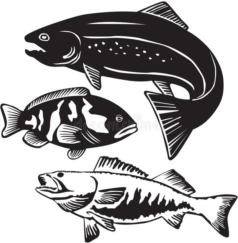 River Light Fish Stock Illustrations – 6,946 River Light Fish Stock ...