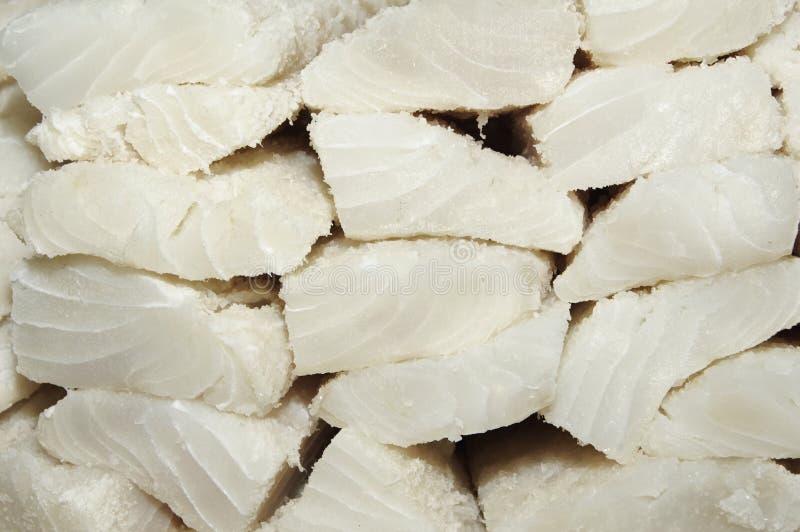 Scallops stock image. Image of scallops, shellfish, freshness - 160627