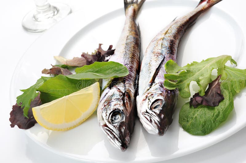 Fish stock photo. Image of ready, healthy, seafood, slice - 13515822