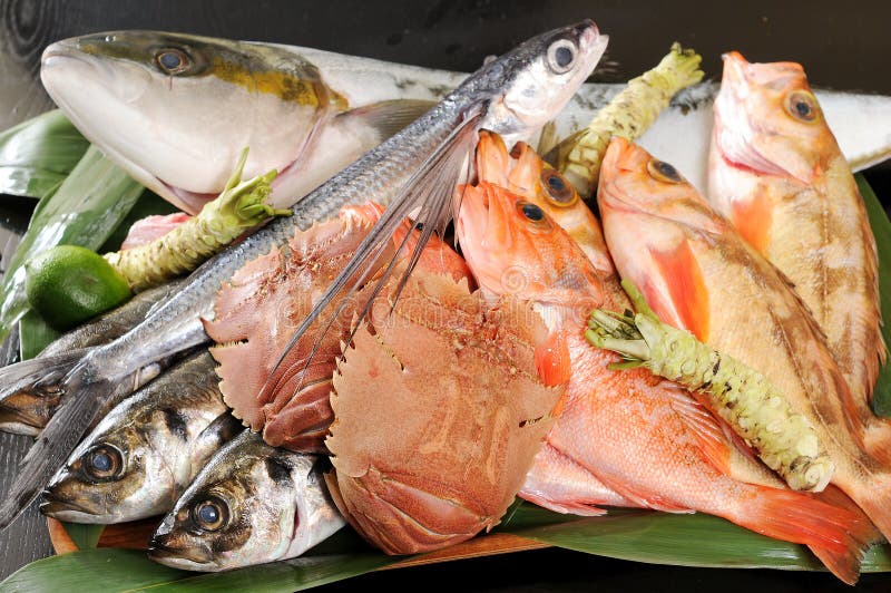 Fish stock photo. Image of dinner, sashimi, plate, japan - 13950472