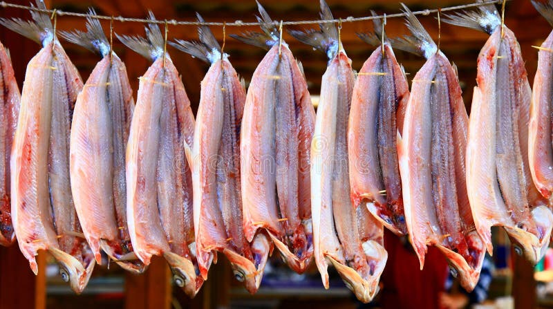 Row fish stock photo. Image of fish, seafood, street, cold - 6564984