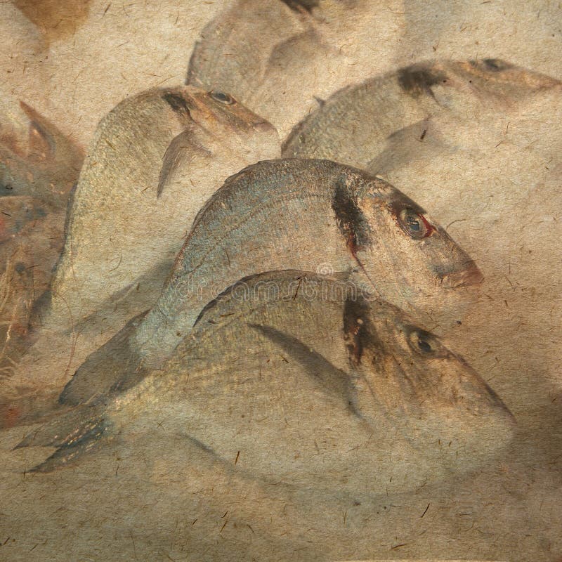 Fish stock photo. Image of grunge, manuscript, book, grainy - 15745430