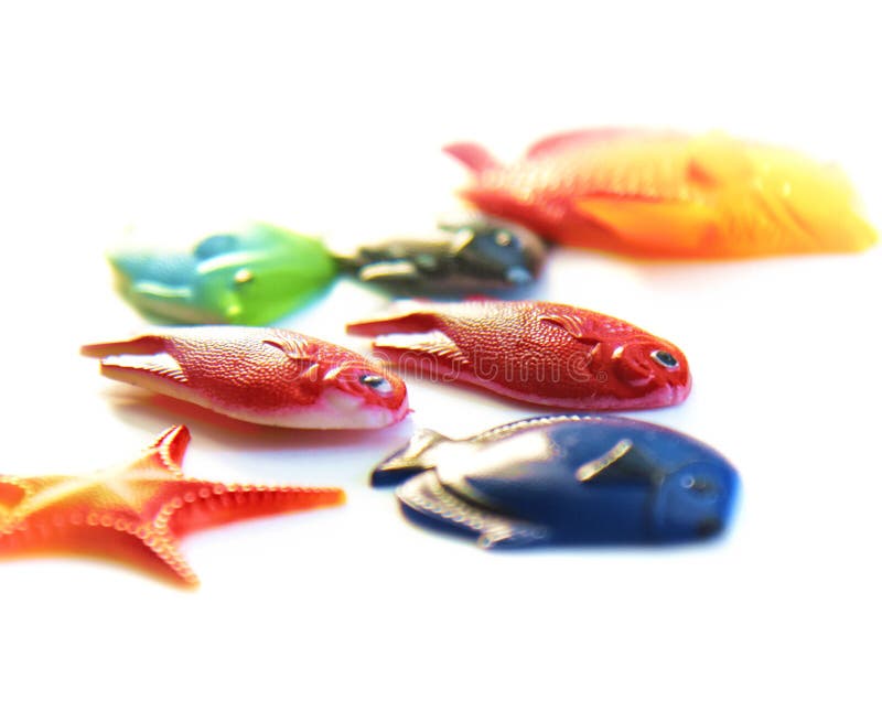 Fish stock image. Image of fish, magnet, flock, eleven - 19231673