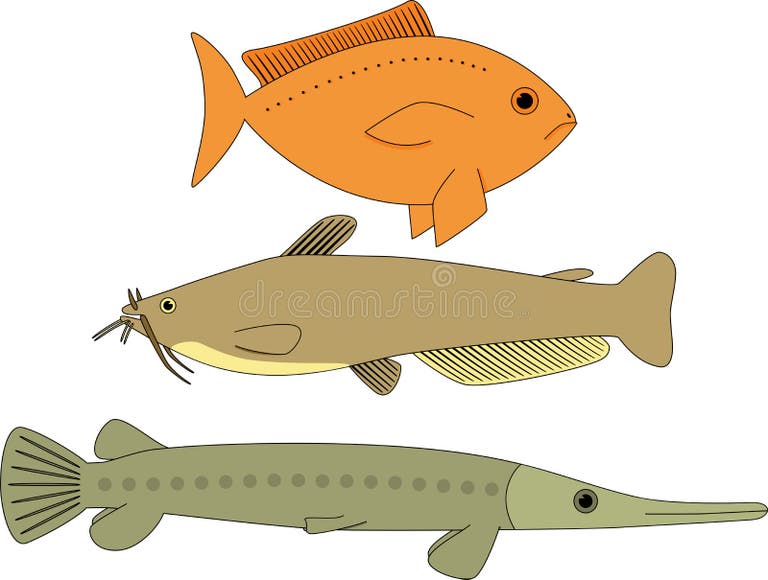 Gar Fish Stock Illustrations – 67 Gar Fish Stock Illustrations, Vectors ...