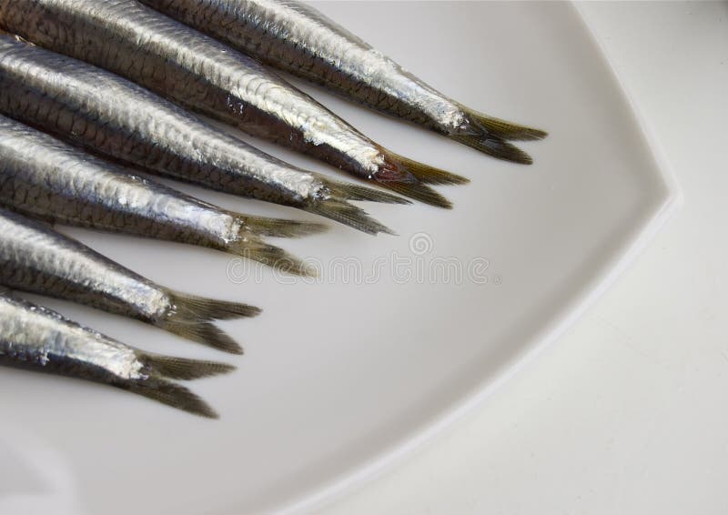 Fish stock image. Image of prepared, gray, sharing, meat - 22835527