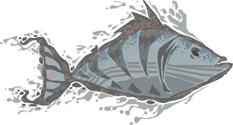 Fish Fossil Drawing