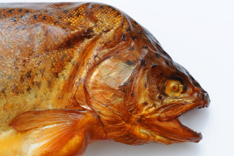 Fish stock image. Image of fish, eyes, head, food, meat - 9172751