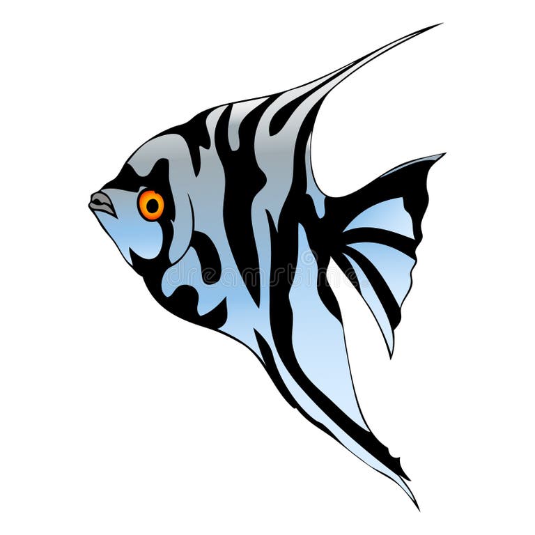 Scalar Fish Stock Illustrations – 513 Scalar Fish Stock Illustrations ...