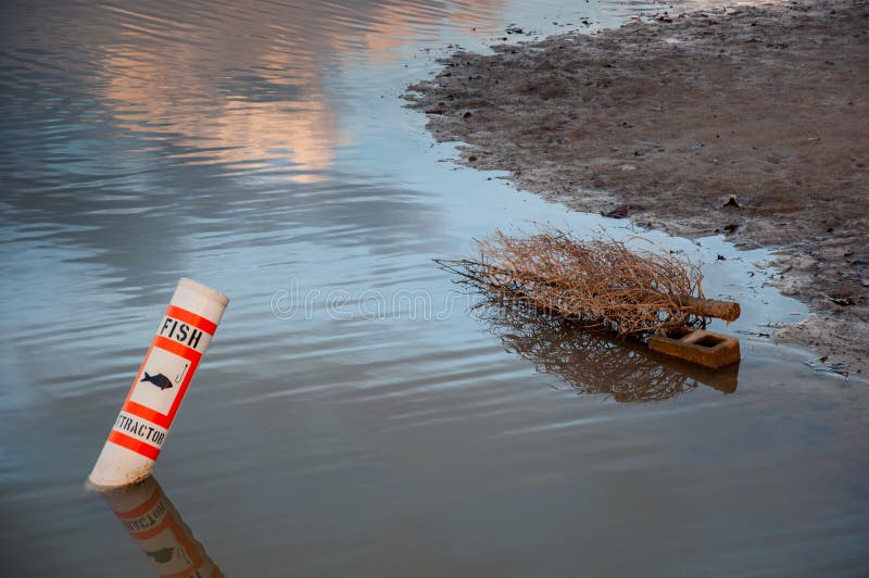 Fish Attractor Post and Dead Tree Floating in Lake Stock Photo - Image ...