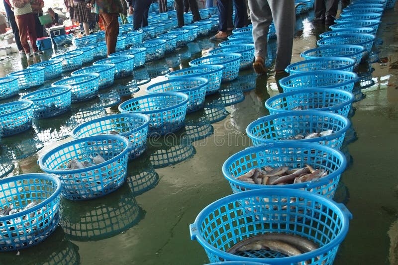 Fish Auction in Taiwan stock photo. Image of taiwan, market - 13532626